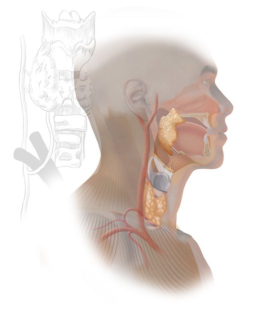 Center for Head & Neck Surgery